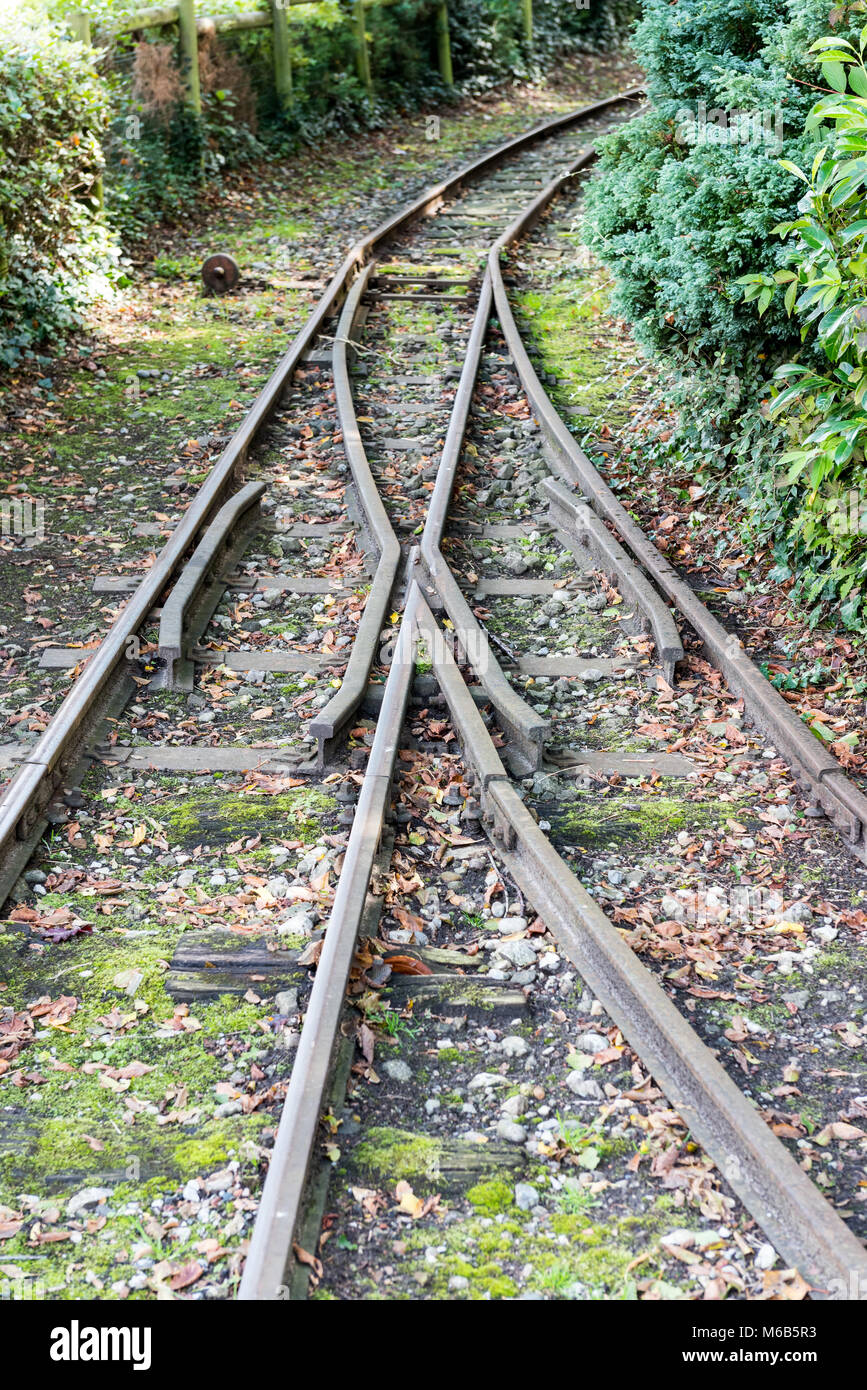 Railway Tracks crossing and going in different directions Stock Photo ...