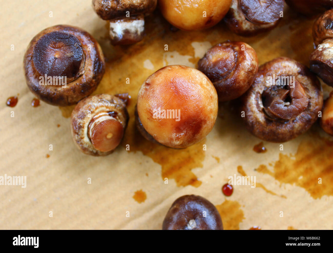 Rotten mushrooms background Stock Photo - Alamy