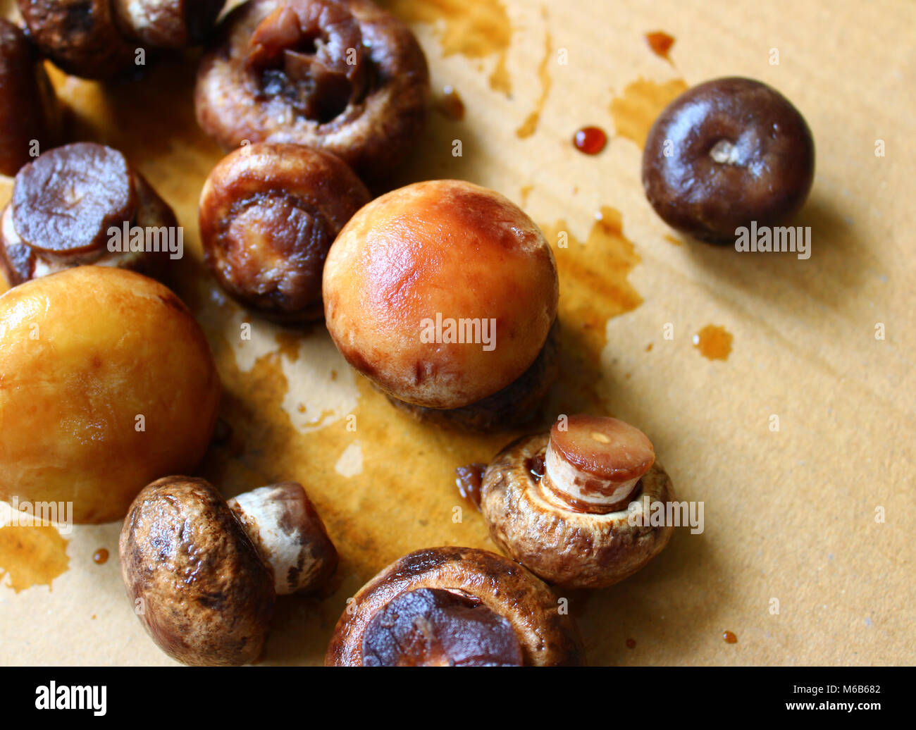 Rotten mushrooms background Stock Photo - Alamy