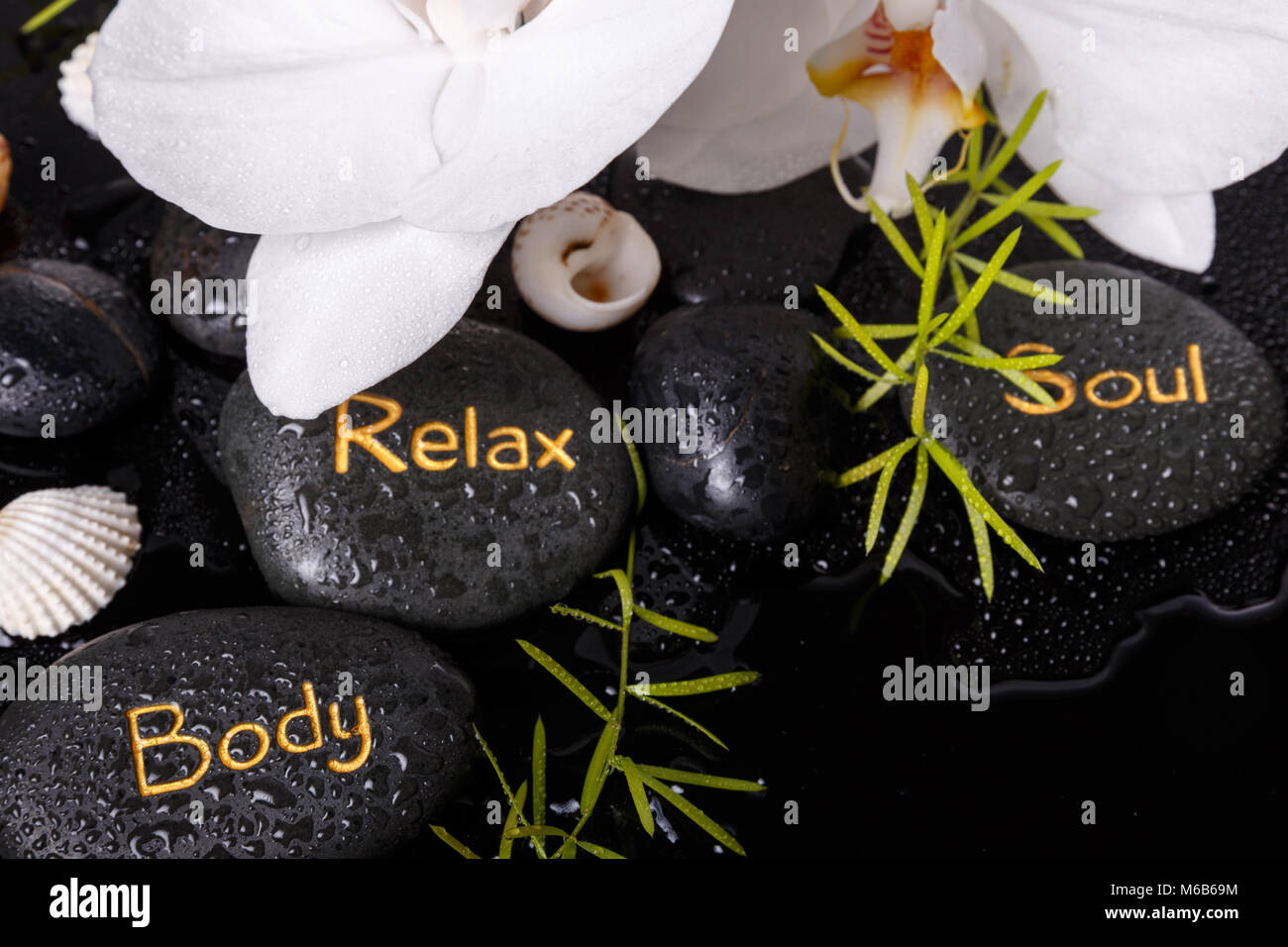Spa concept, white orchid, black therapy stones with the inscription ...