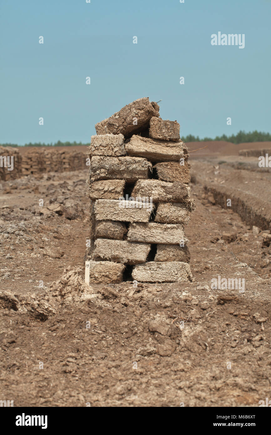 Peat briguettes on peat field Stock Photo - Alamy
