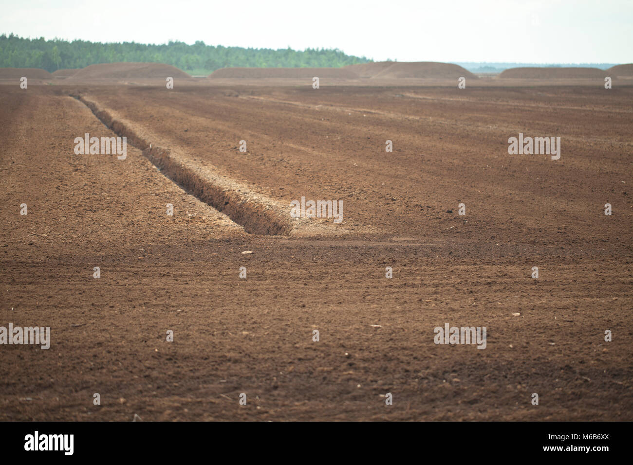 Partchart hi-res stock photography and images - Alamy