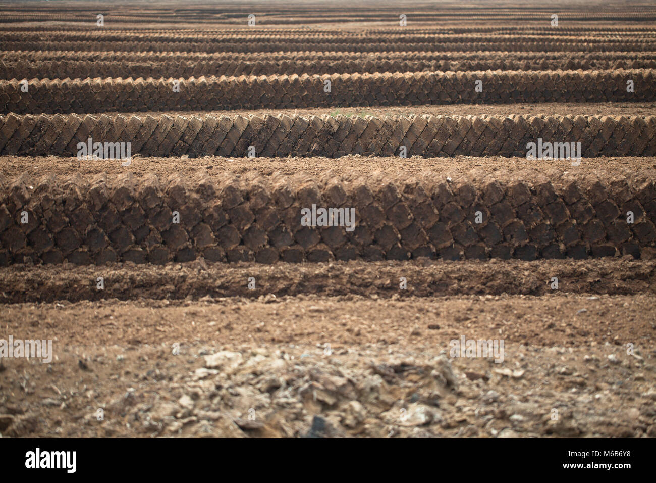 Partchart hi-res stock photography and images - Alamy