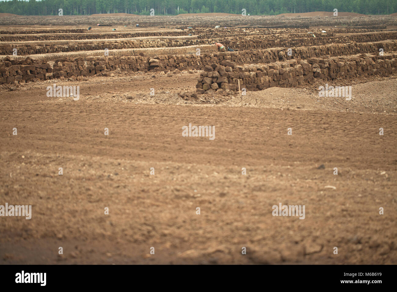Peat bog ireland digging hi-res stock photography and images - Alamy