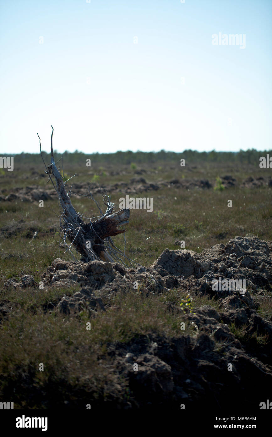 Peat bog ireland digging hi-res stock photography and images - Alamy