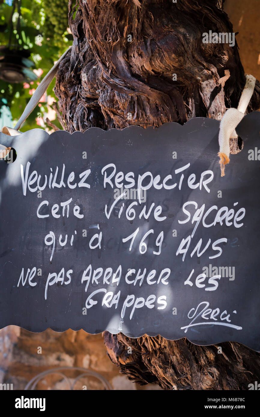 Old grapevine hi-res stock photography and images - Alamy