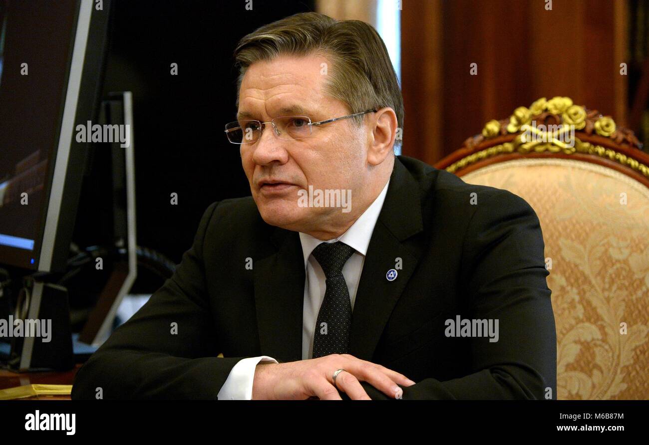 Rosatom CEO Alexei Likhachev during a meeting with Russian President ...