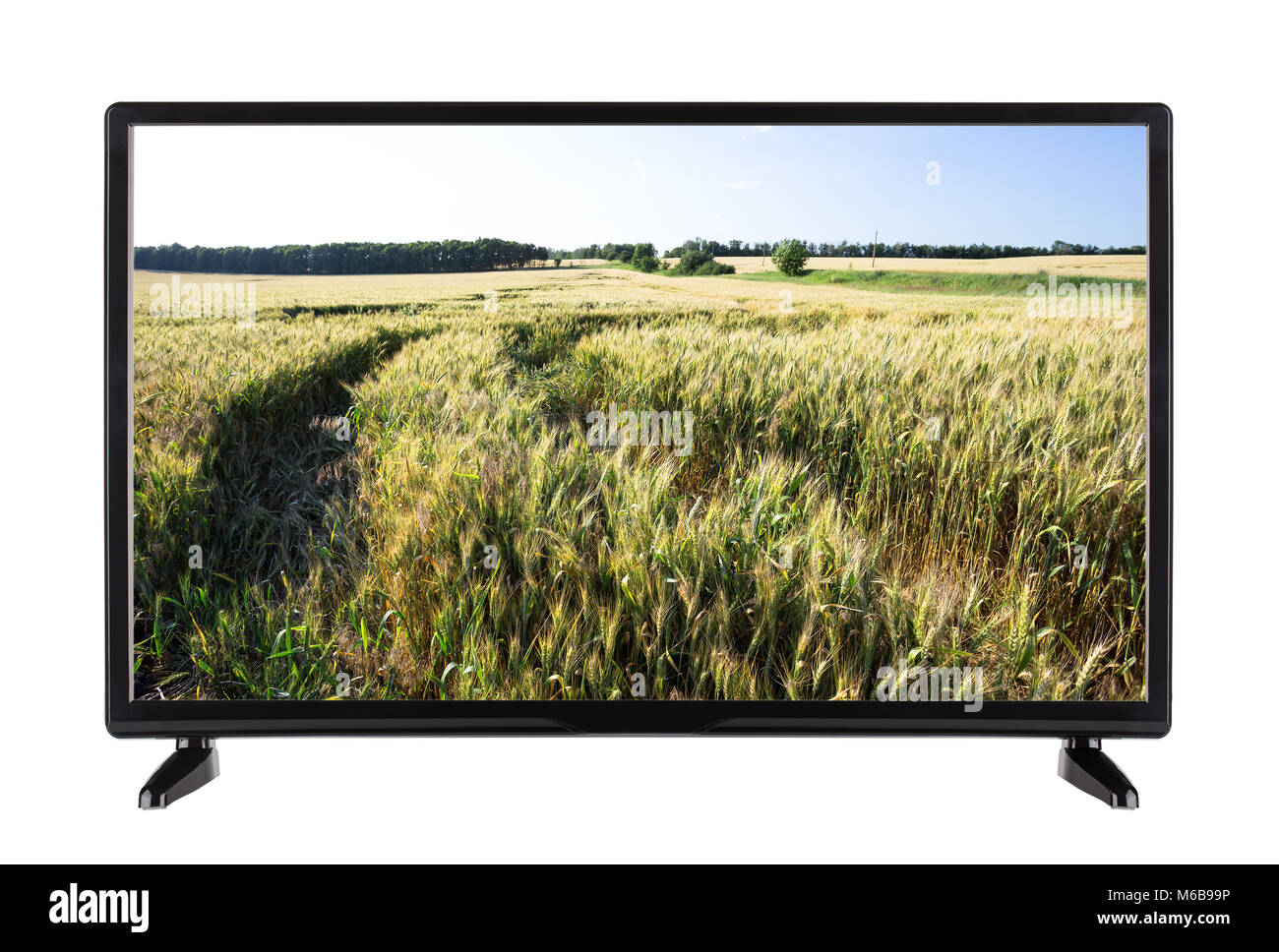 Modern high-definition TV with field of green ears on the screen Stock ...