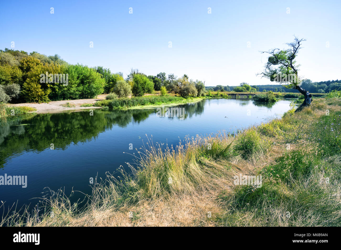 Tranquil river flowing through field with green trees Stock Photo - Alamy
