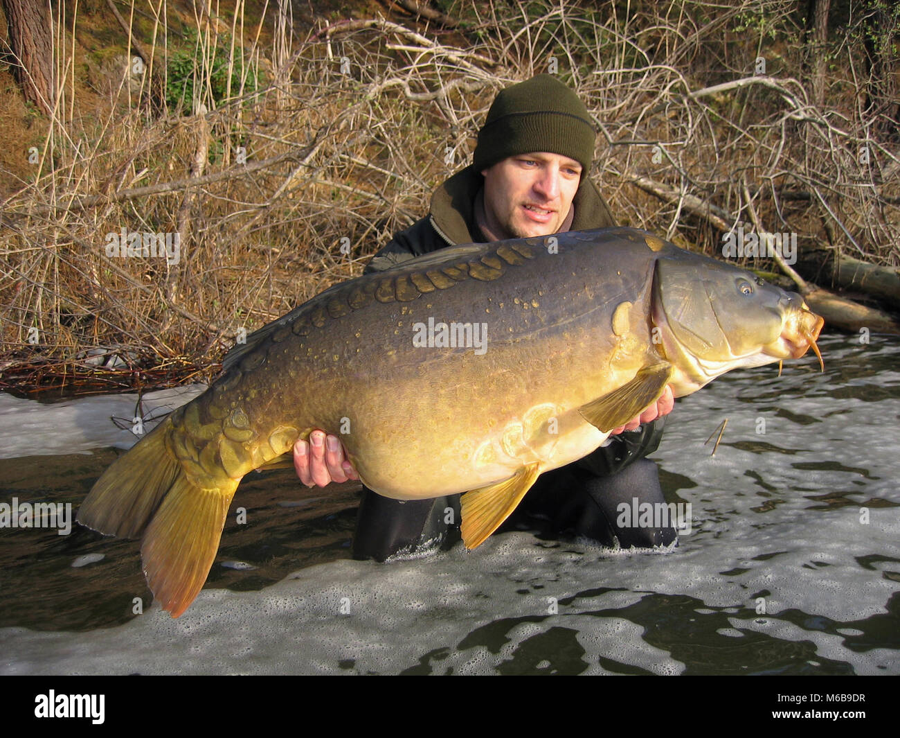 Uk freshwater fish hi-res stock photography and images - Alamy