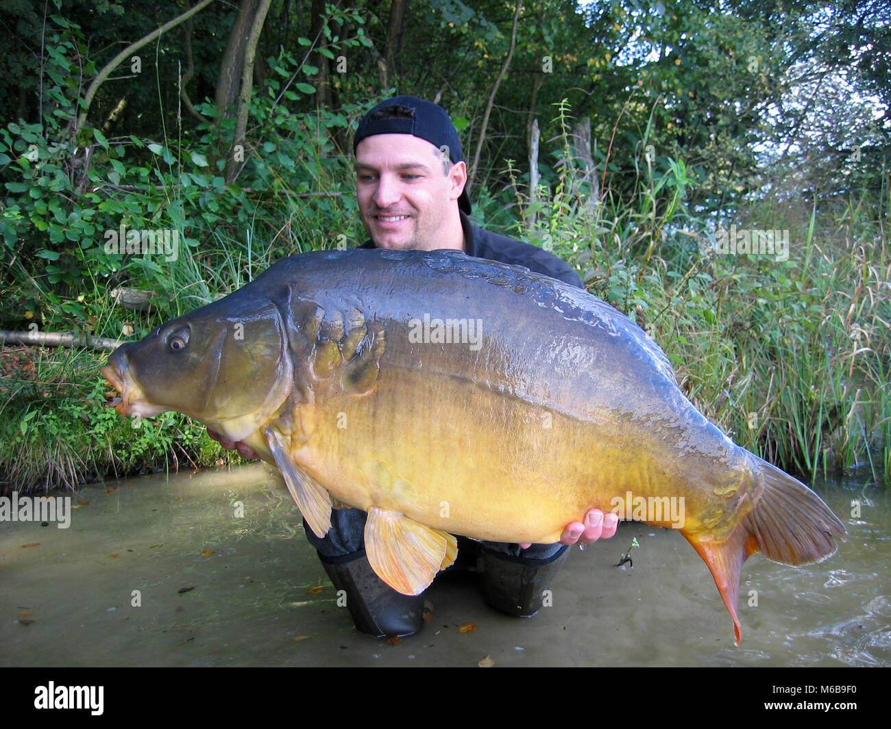 Giant carp hi-res stock photography and images - Alamy