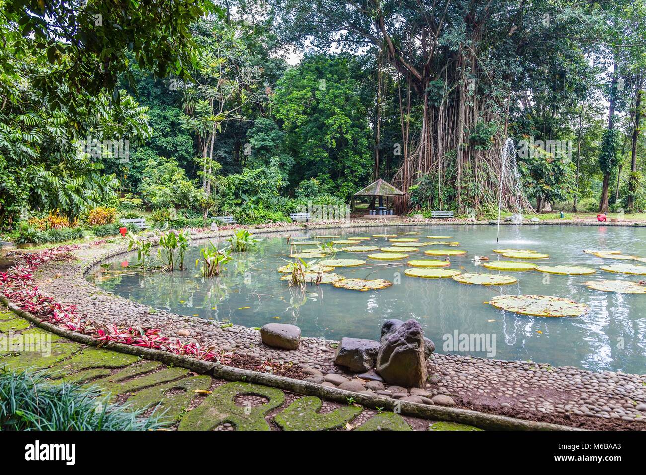 Botanical gardens Kebun Raya in Bogor, West Java, Indonesia Stock Photo ...