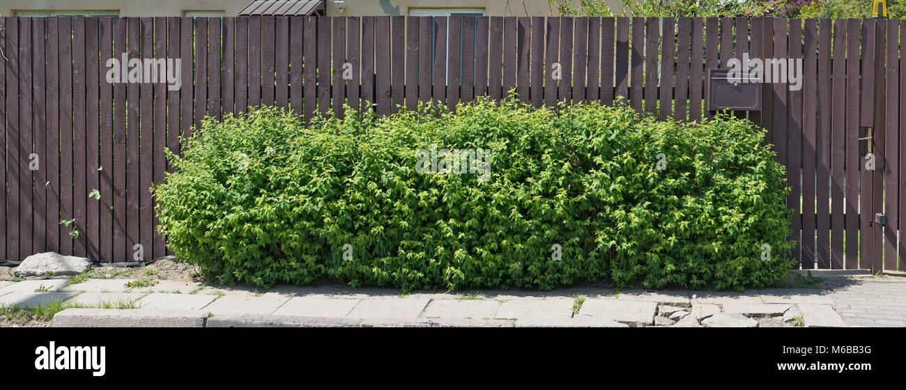 Long wooden fence and green bush on city street. Panoramic collage from ...