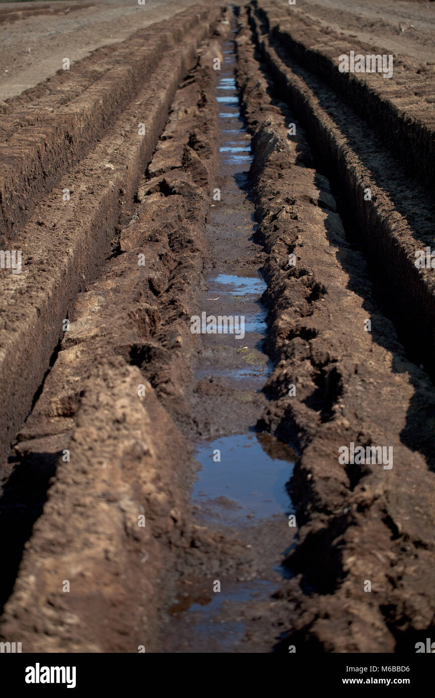 Peat Ground Stock Photos & Peat Ground Stock Images - Alamy