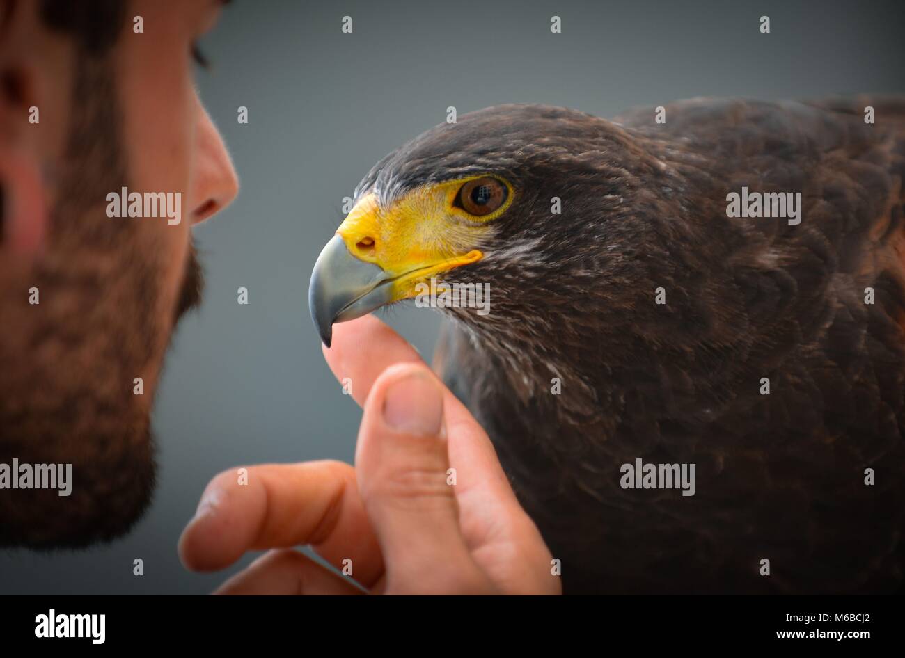 Good friends hi-res stock photography and images - Alamy