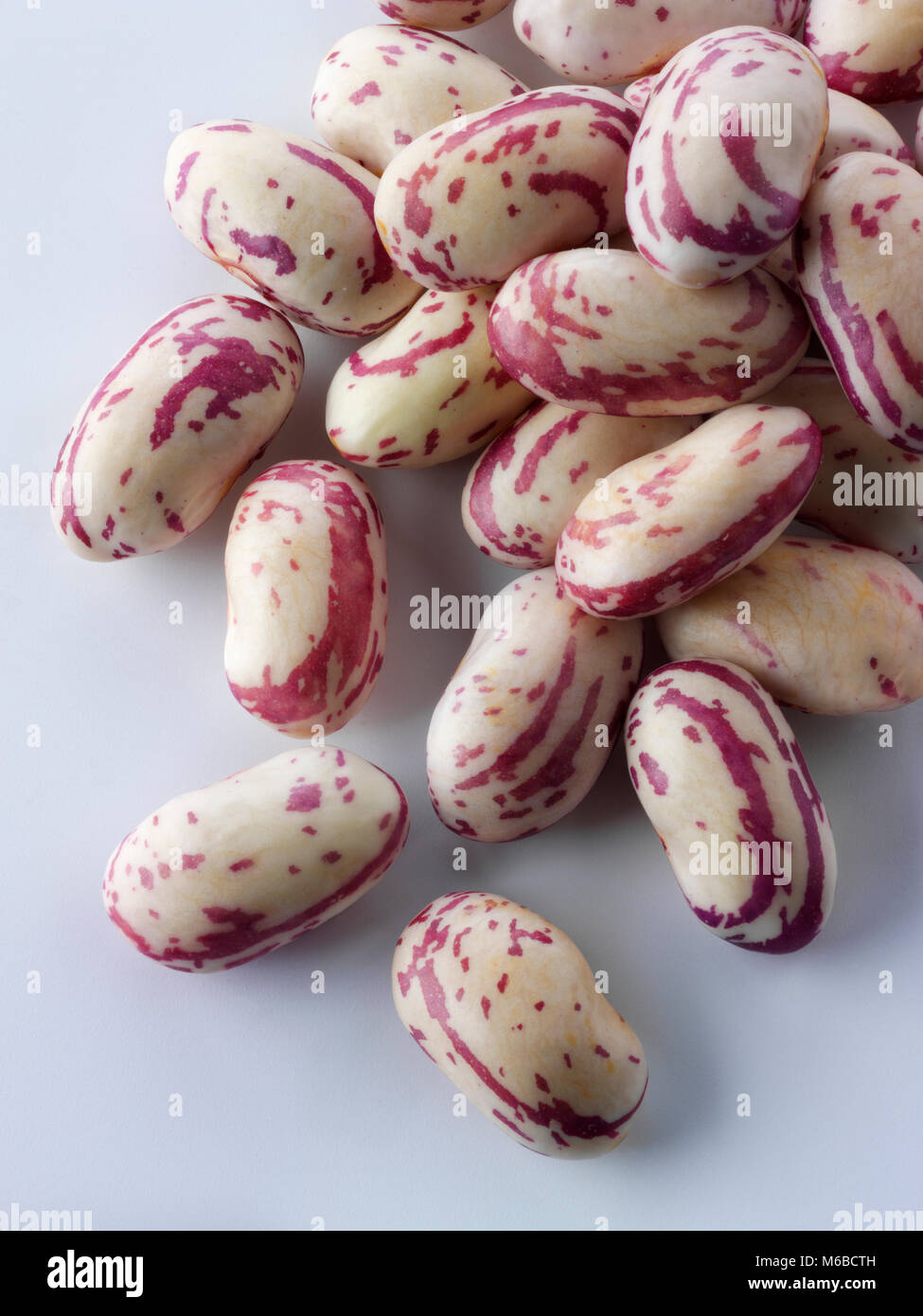Fresh picked borlotti beans also known as the cranberry bean or Roman ...