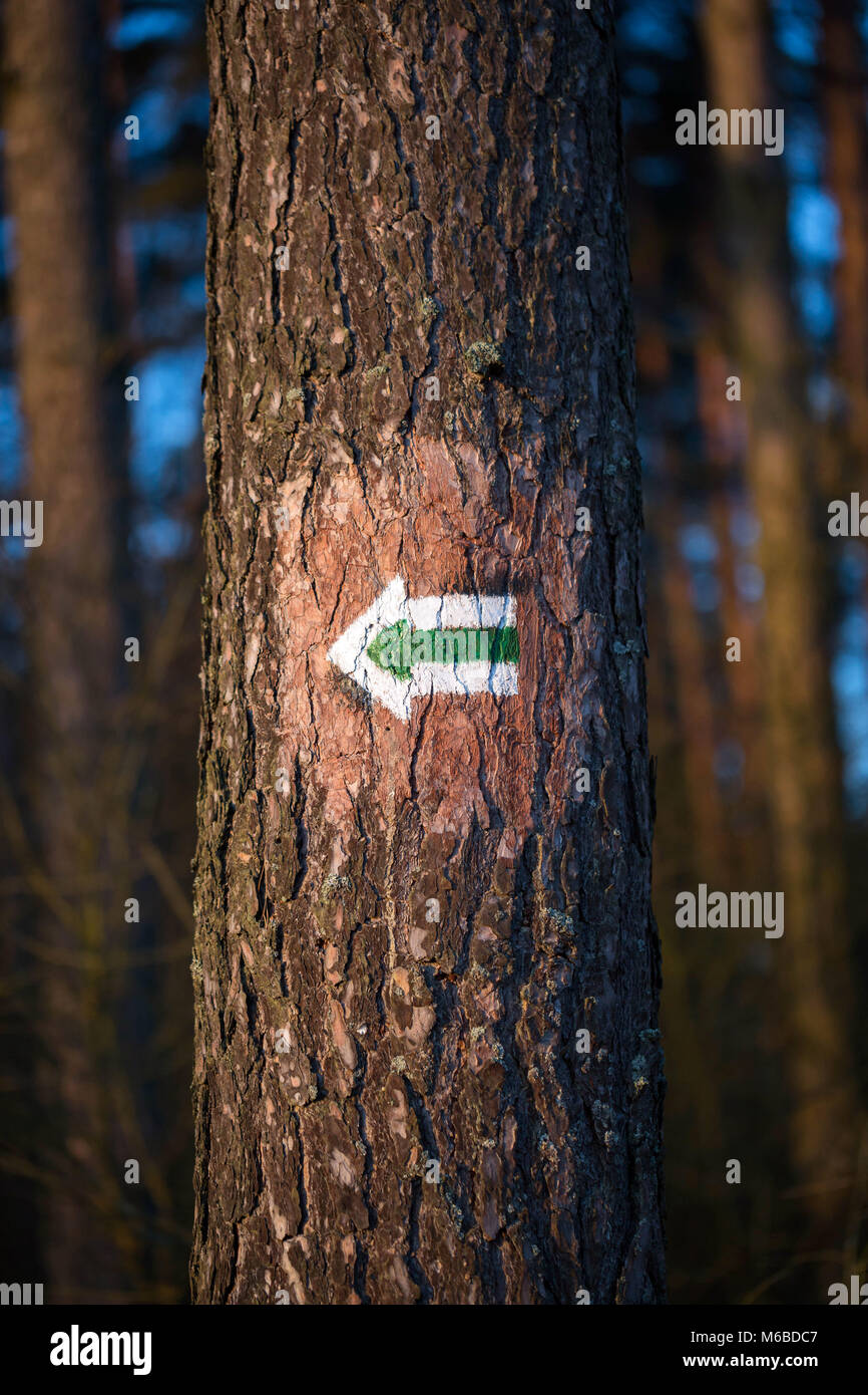 Green arrow on the tree - tourist trail indication Stock Photo - Alamy