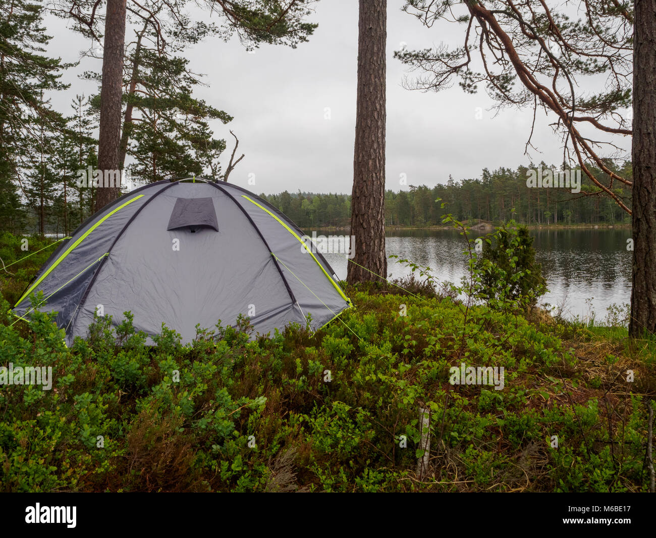 Grey tent on green grass with trees at lake Stock Photo - Alamy