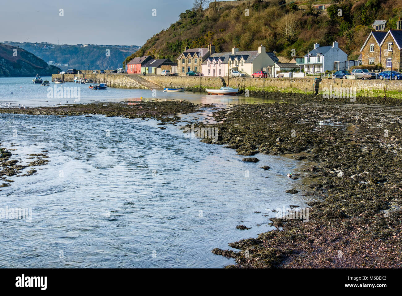 Lower Town Harbour, Fishguard, Pembrokeshire, Wales Stock Photo - Alamy