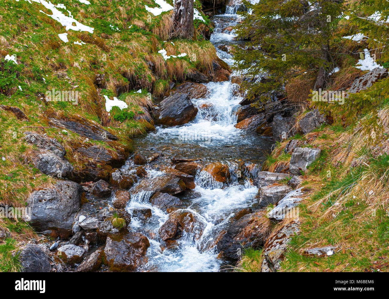 Clear waters of alpine creek Stock Photo - Alamy