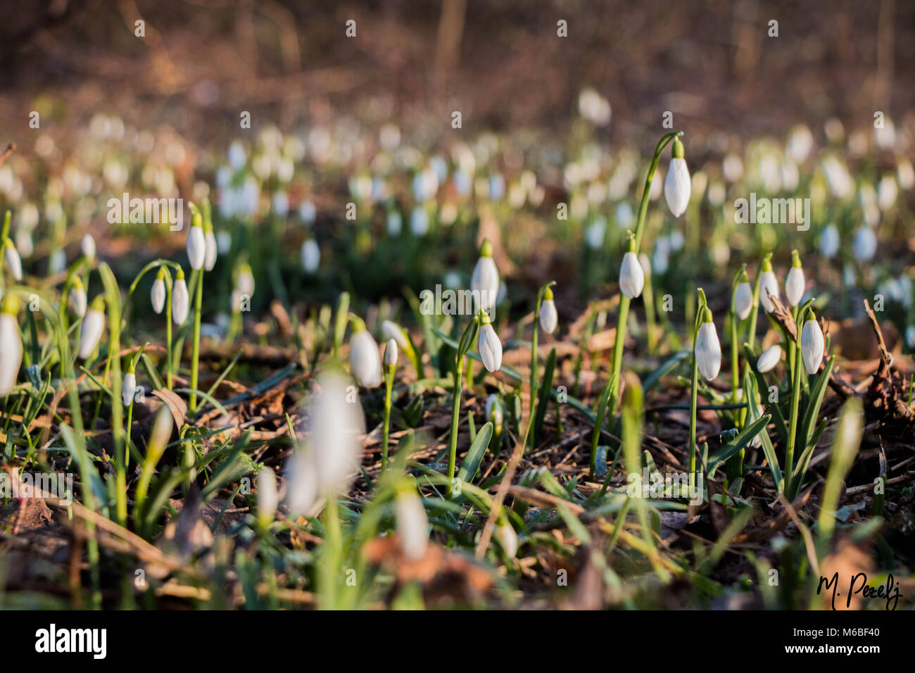 Travelawesome hi-res stock photography and images - Alamy