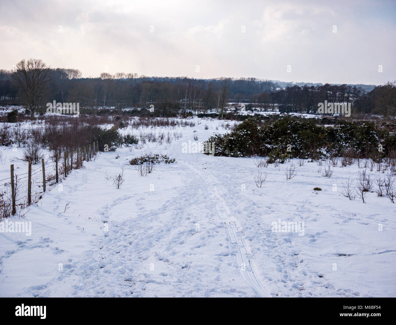 Hothfield Common nature reserve, buried in a blanket of snow following ...