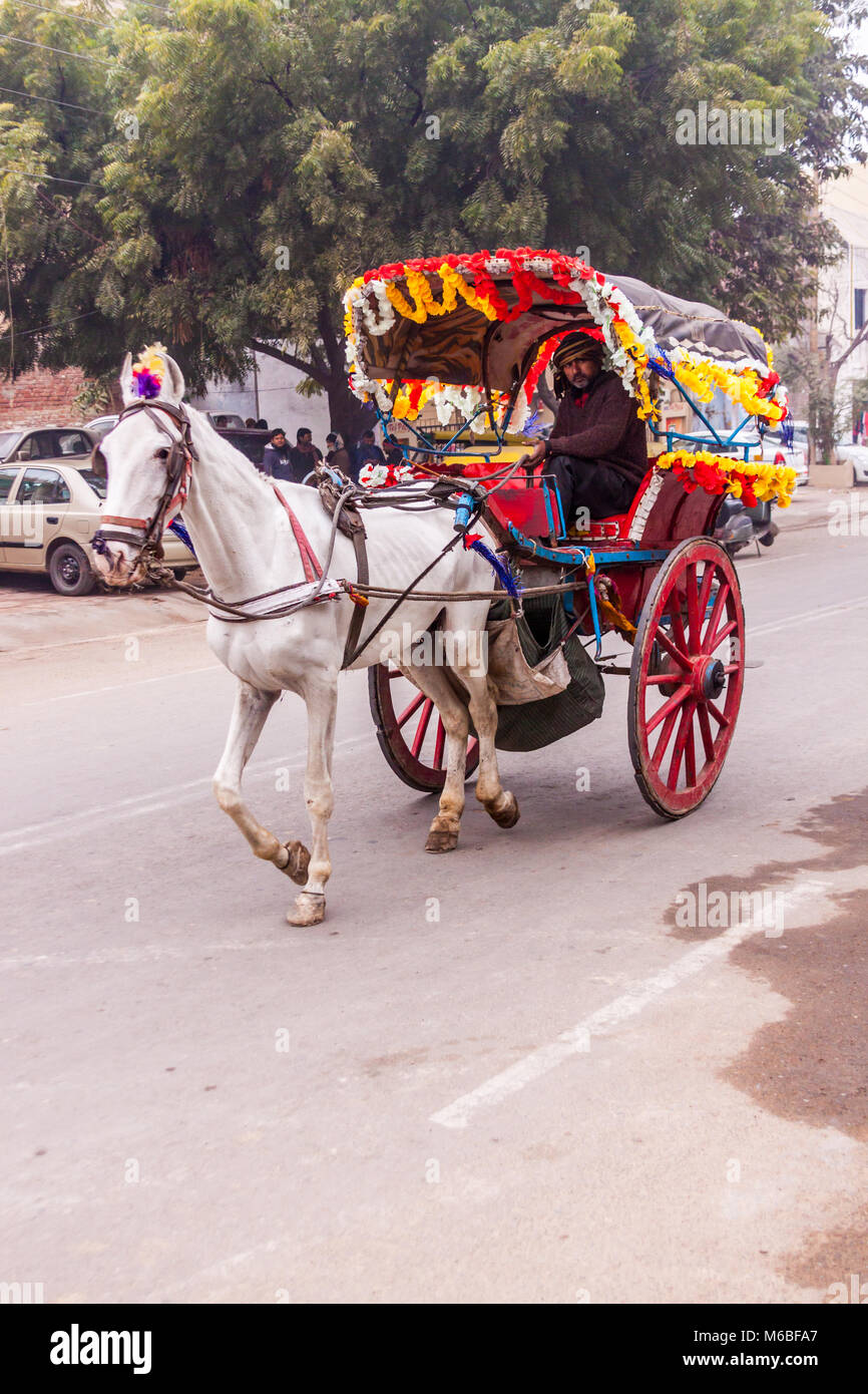 Carriage steer hi-res stock photography and images - Alamy