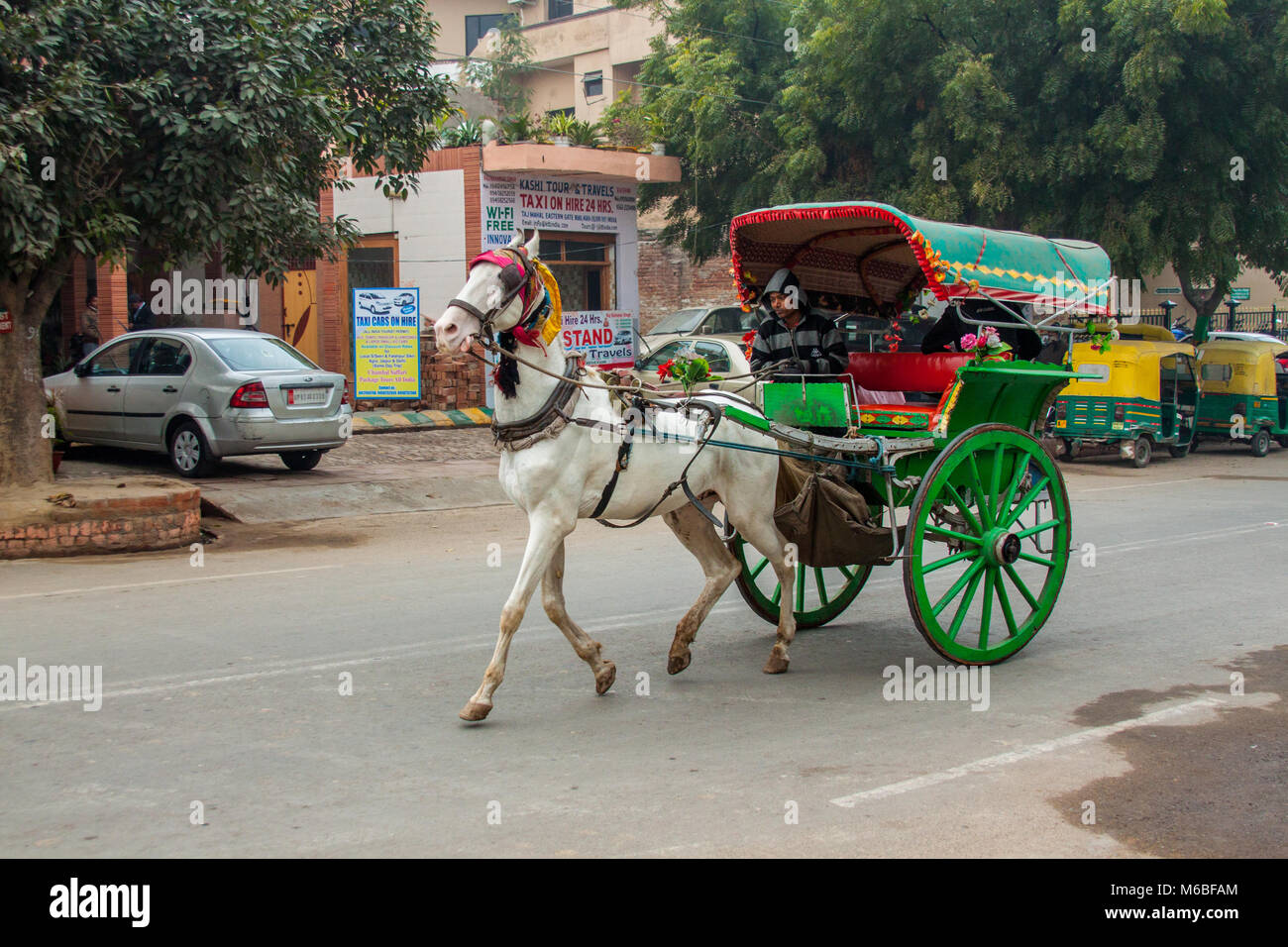 Carriage steer hi-res stock photography and images - Alamy
