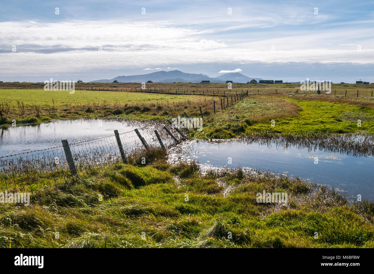 The collapsing fence crossing a waterlogged meadow in the flat ...