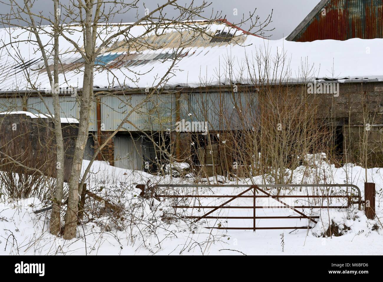 Scottish farm building hi-res stock photography and images - Alamy