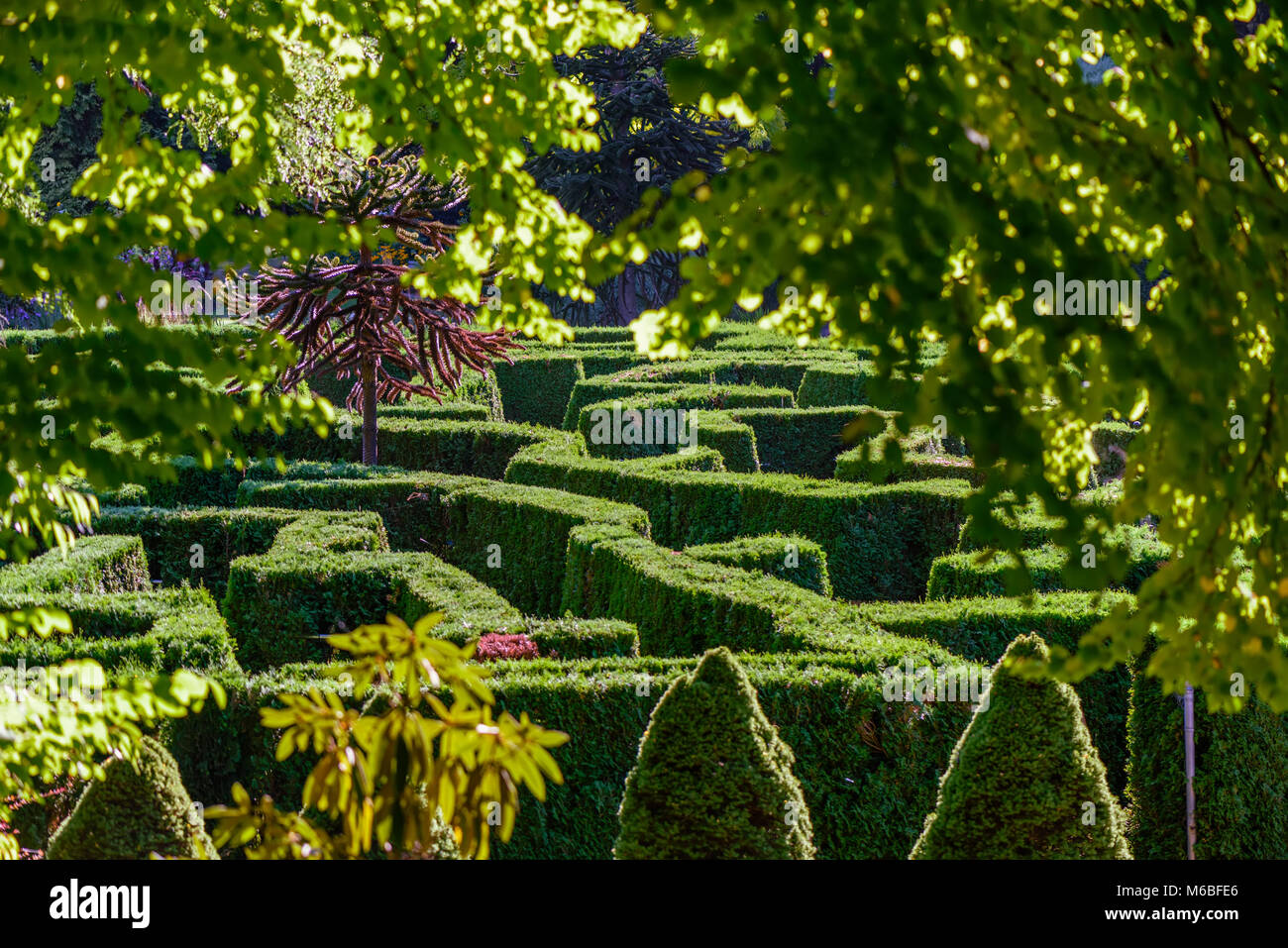 Labyrinth Garden Stock Photos & Labyrinth Garden Stock Images - Alamy