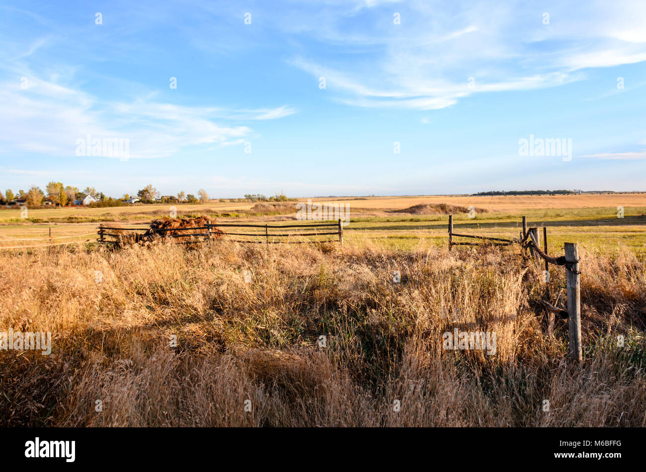 Field behind houses hi-res stock photography and images - Alamy