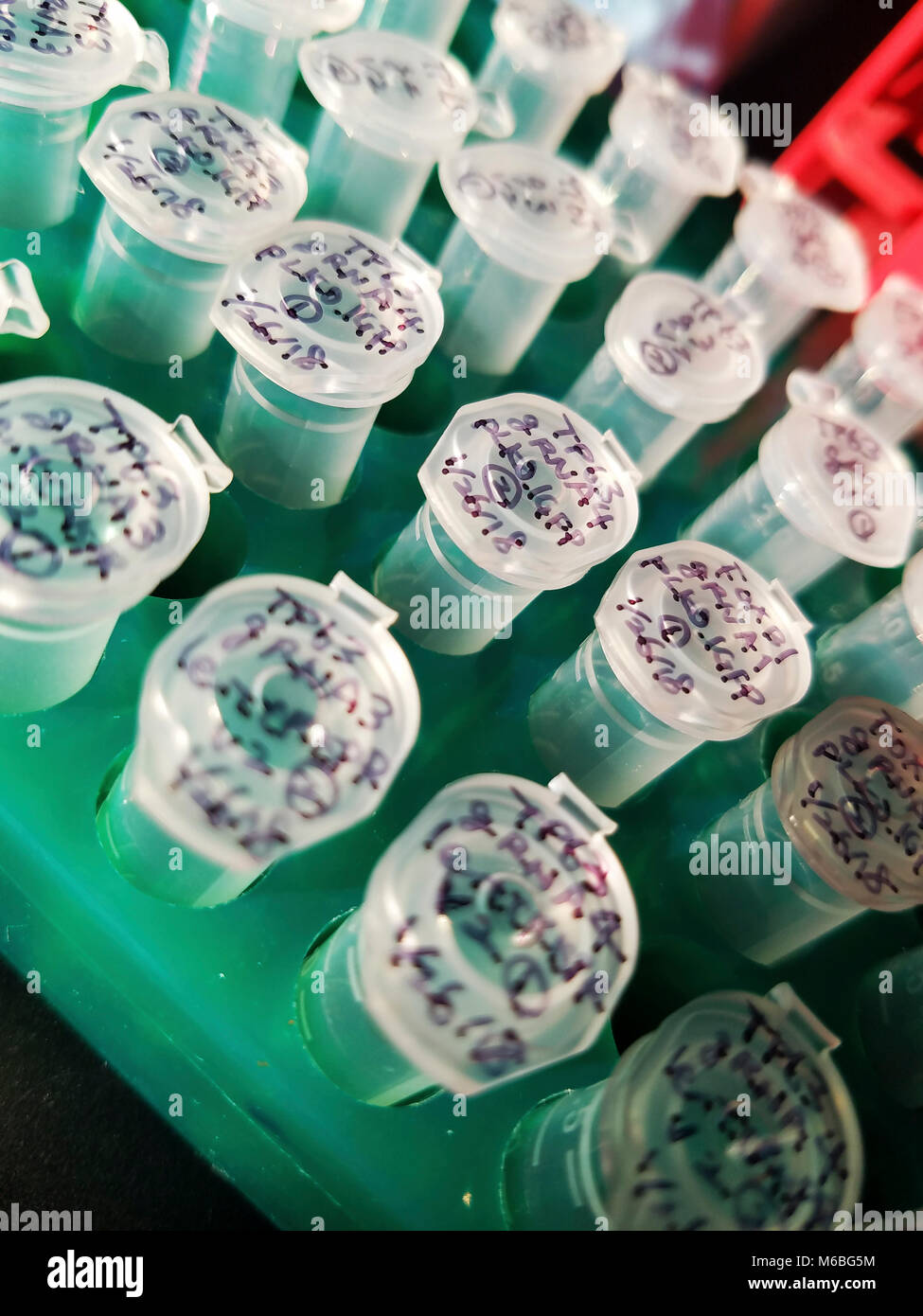 Specimen tube tray hi-res stock photography and images - Alamy