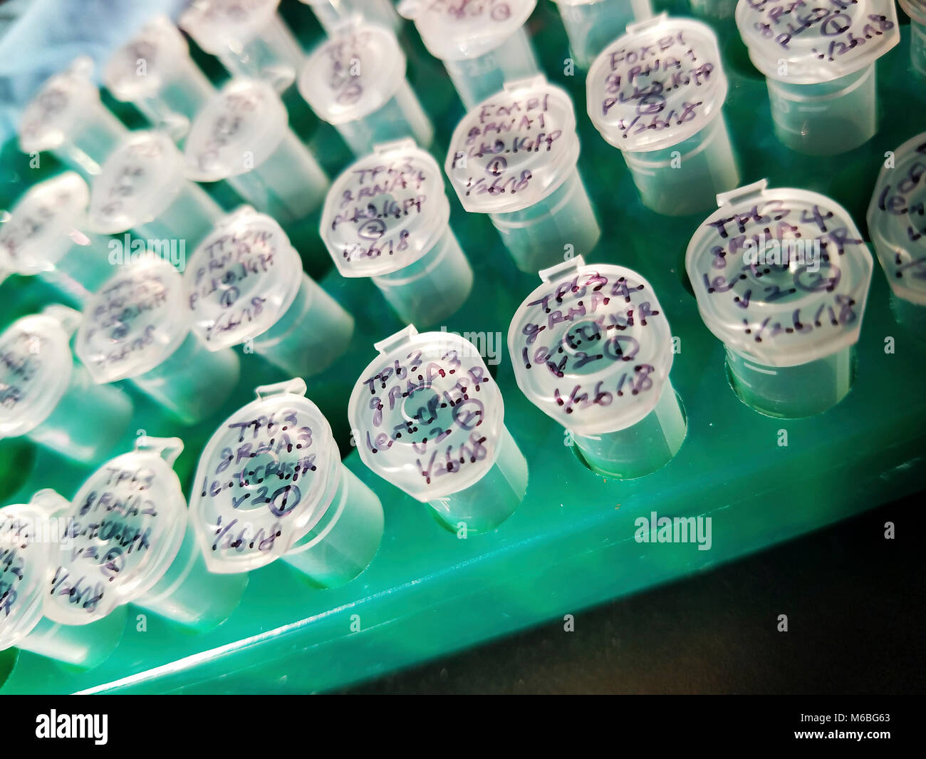 Centrifuge tube hi-res stock photography and images - Alamy