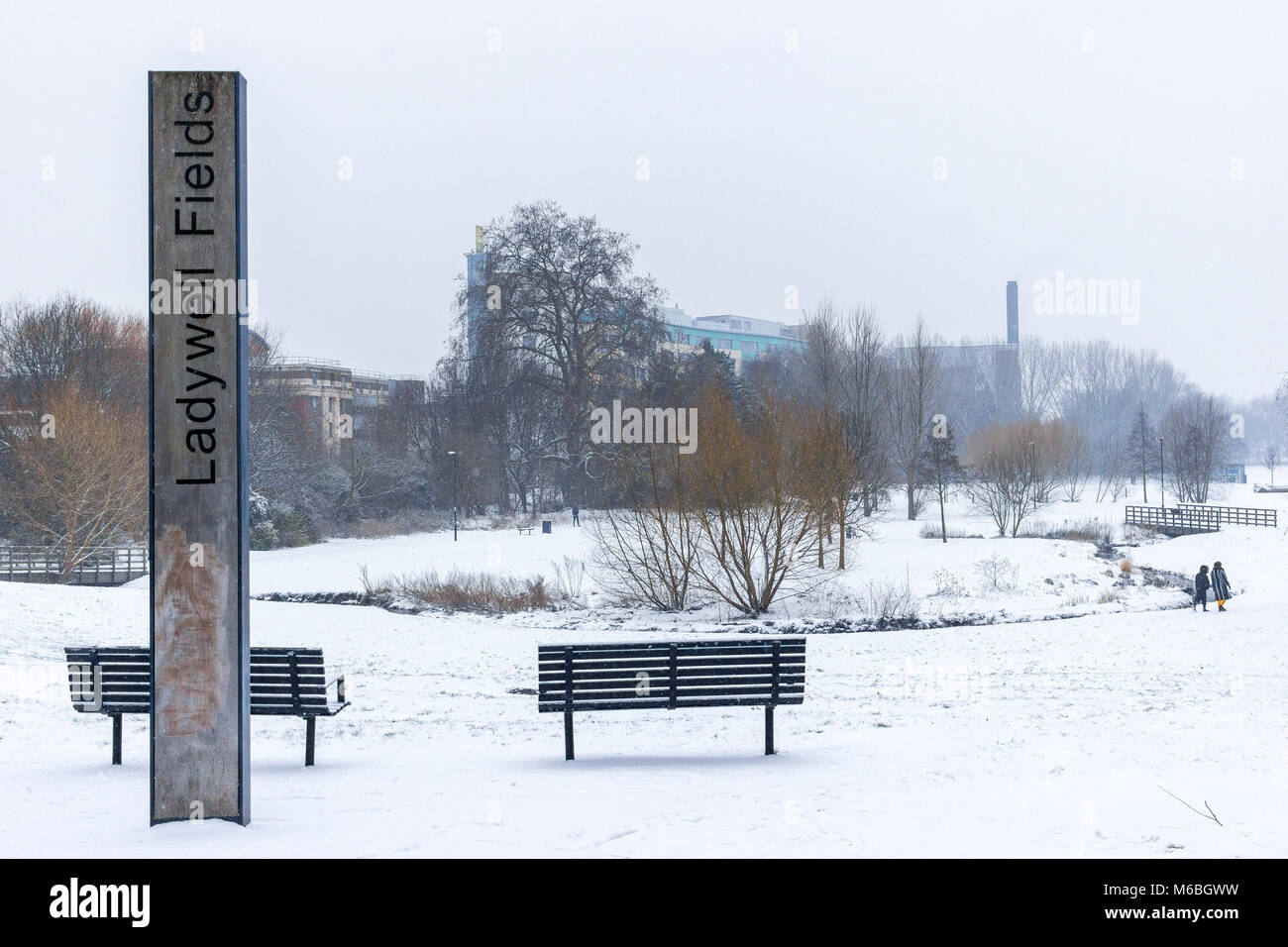 Ladywell fields lewisham trees hi-res stock photography and images - Alamy