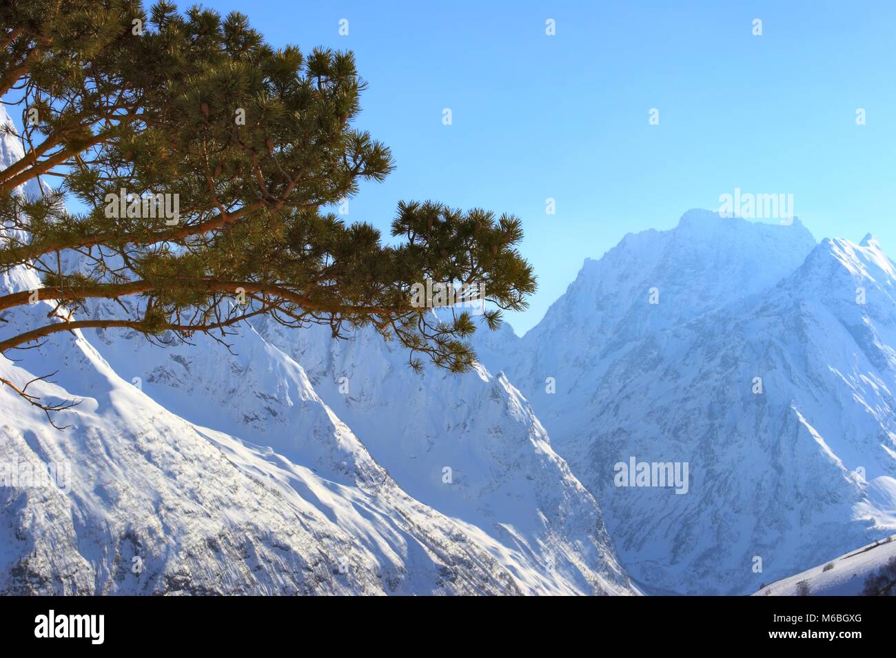 Nice Mounting landscape in a sunny day Stock Photo - Alamy