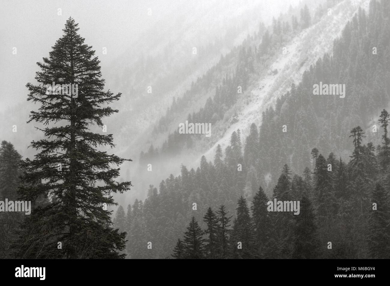 mist mountain view Stock Photo - Alamy
