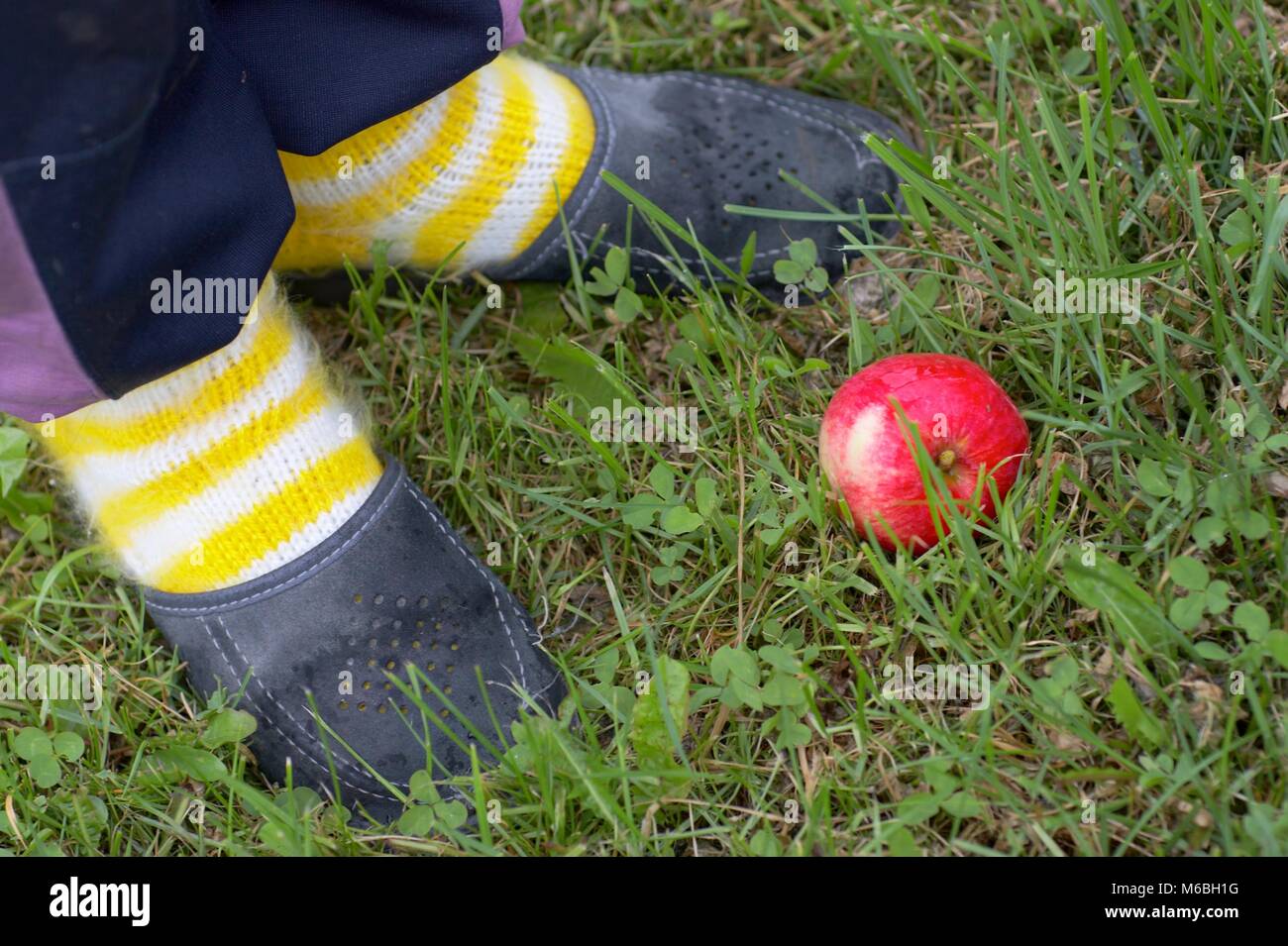 Red apple on the grass Stock Photo - Alamy