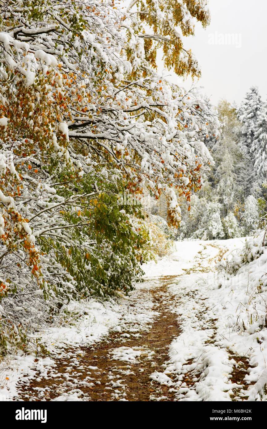 nice snow landscape Stock Photo - Alamy