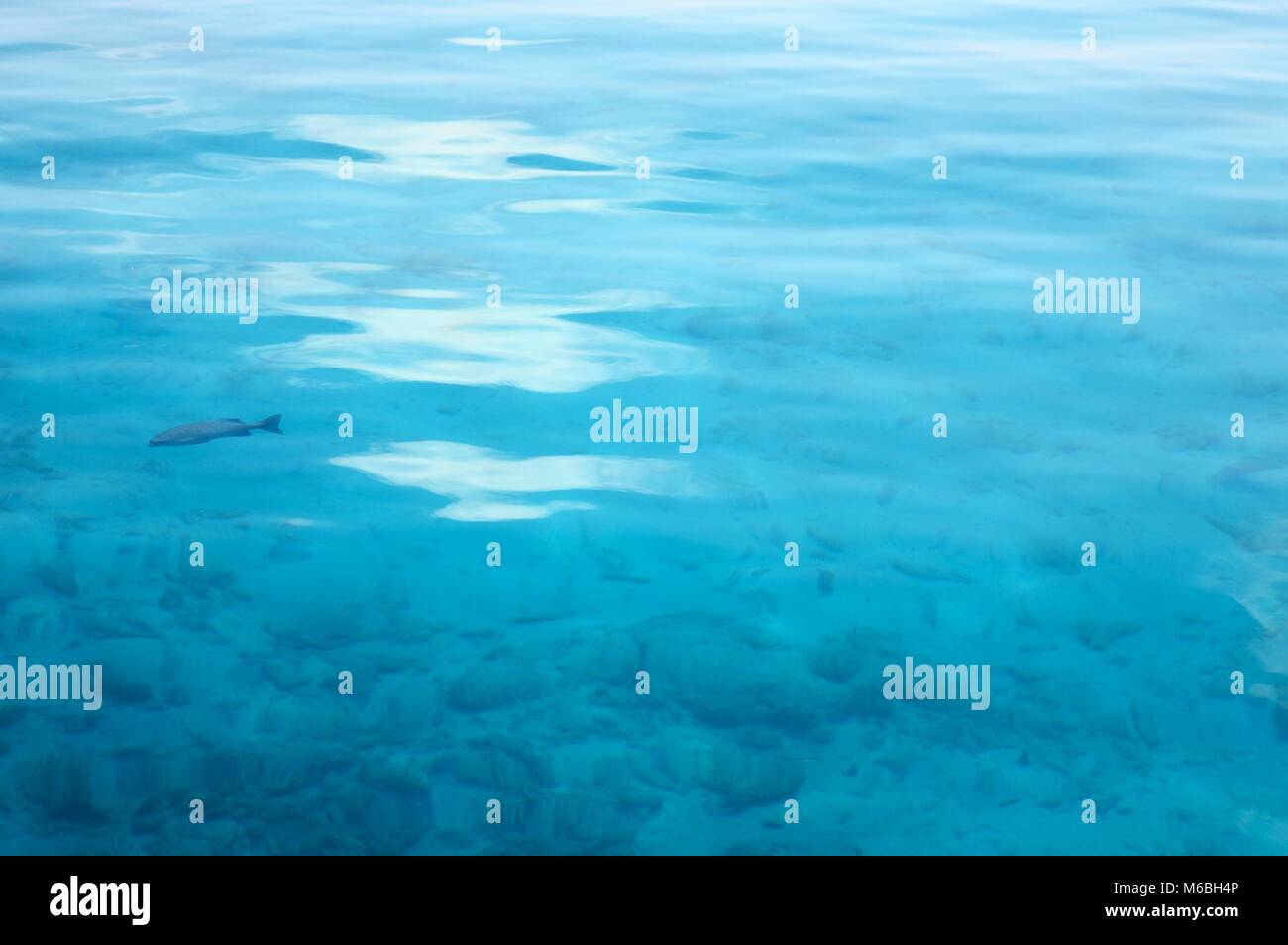 Smooth water textures hi-res stock photography and images - Alamy