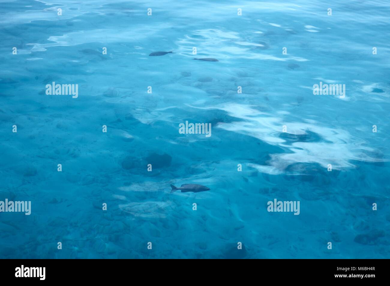 Smooth water textures hi-res stock photography and images - Alamy
