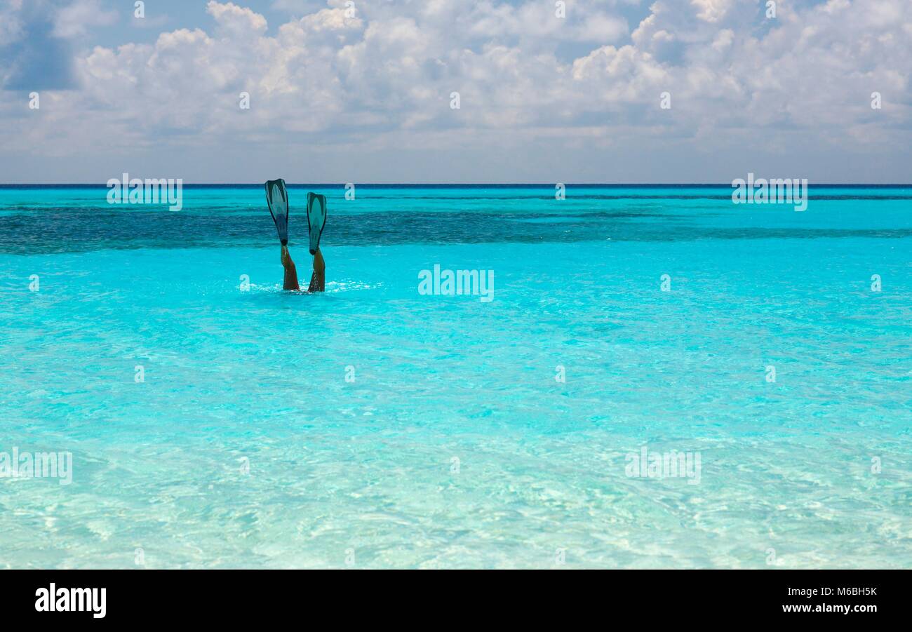 A man is diving in a flipper Stock Photo - Alamy