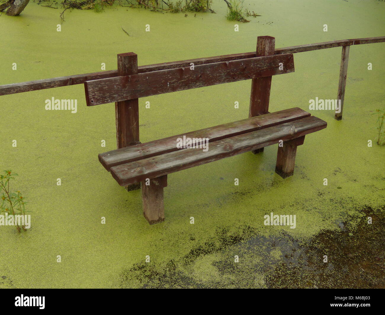 Bog symbol hi-res stock photography and images - Alamy