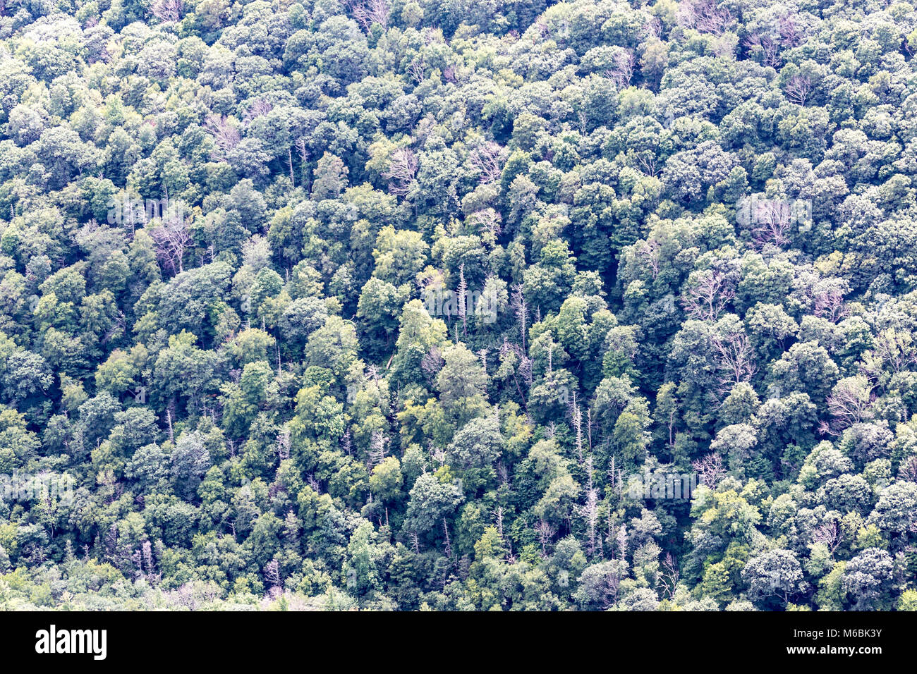 Views during a hike at the Kaaterskill Wild Forest in Upstate NY Stock ...