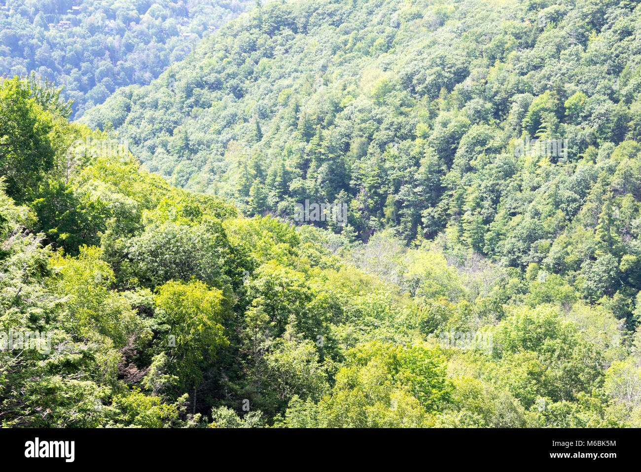 Views during a hike at the Kaaterskill Wild Forest in Upstate NY Stock ...