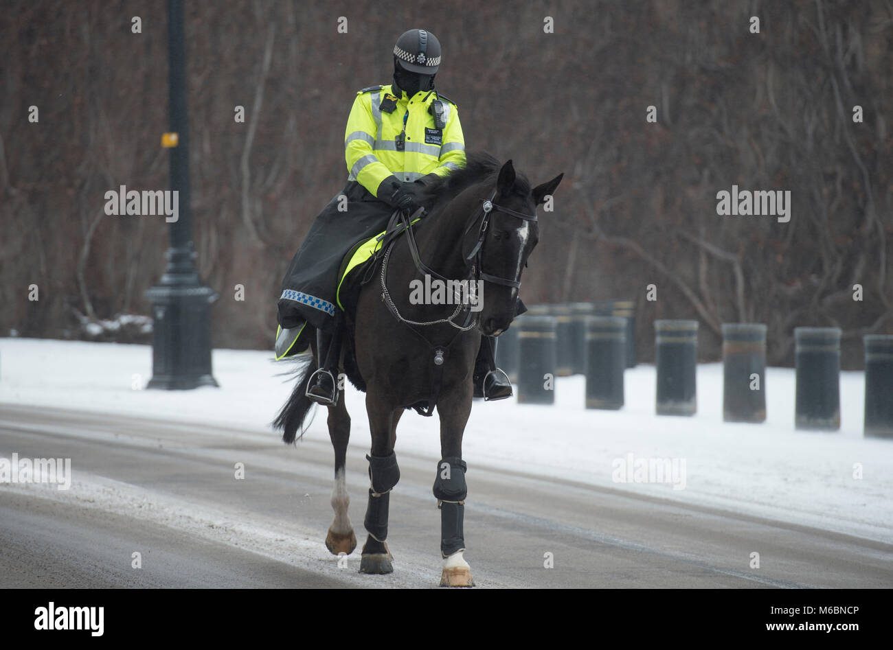 1 March 2018. Mounted police officer rides through wind blown snow ...