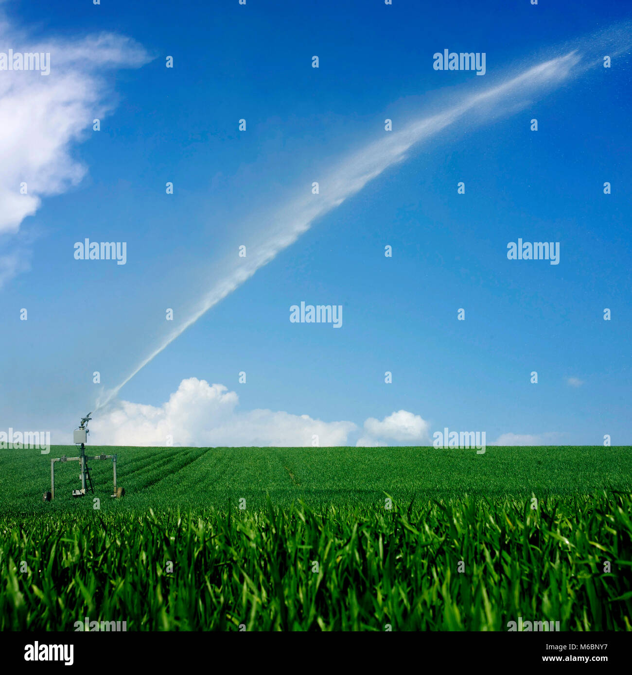 Watering sprinkler system hi-res stock photography and images - Alamy