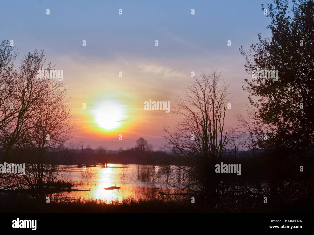 sunset reflection in a small pond, dawn reflection in a swamp in the ...