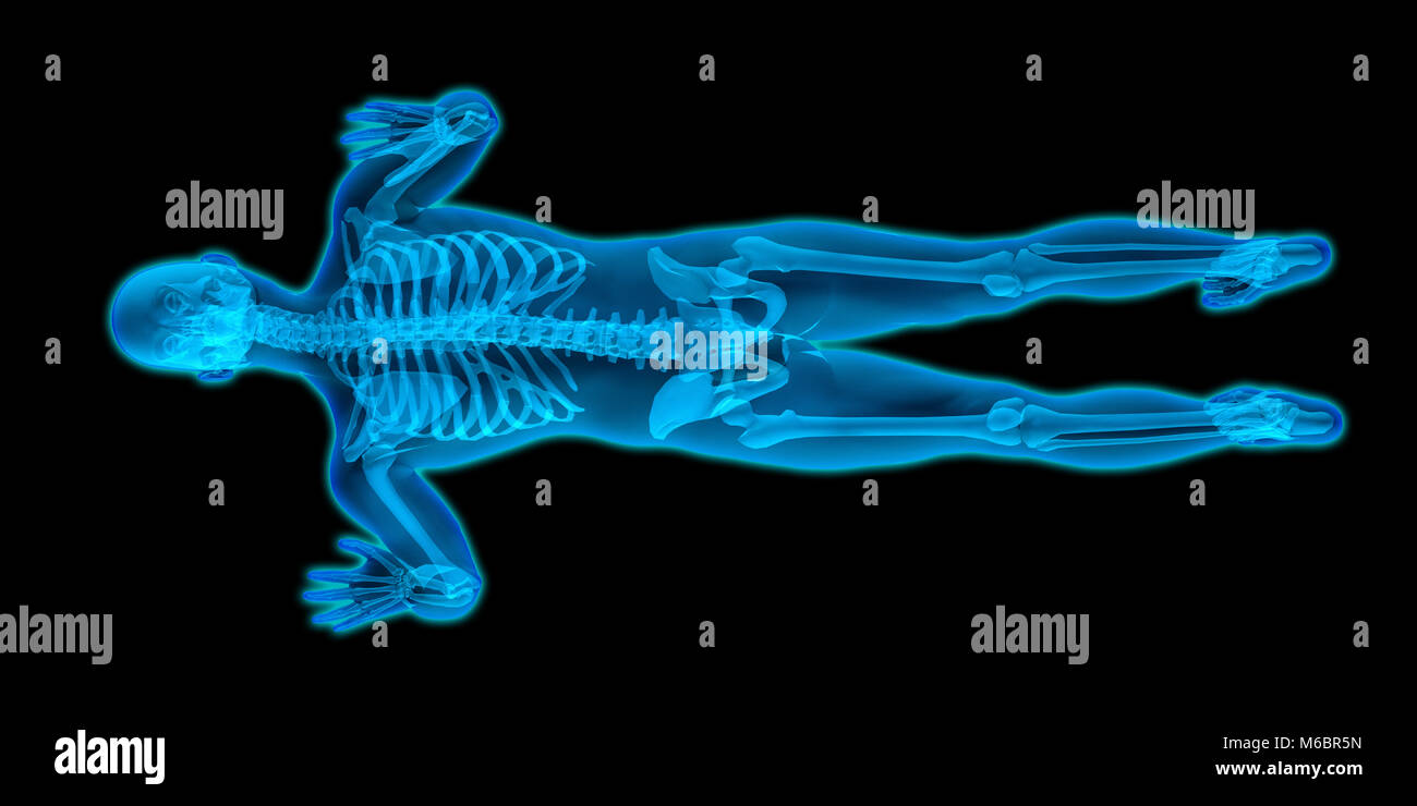 Top view of a transparent male body doing push-ups Stock Photo - Alamy