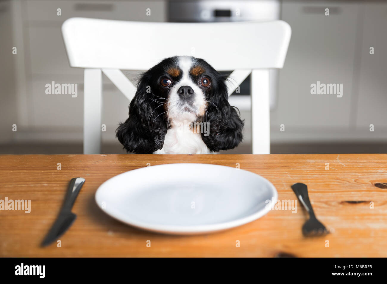 Wait at table hi-res stock photography and images - Alamy